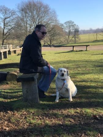 Labrador Retriever Rescue Southern England